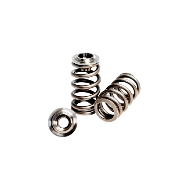 Performance Valve Springs – CDMSPORT